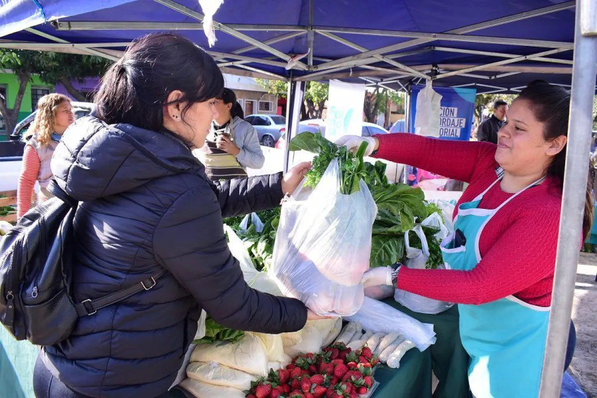 Venta de bolsones saludables en distintos puntos de la ciudad | GuauFormosa