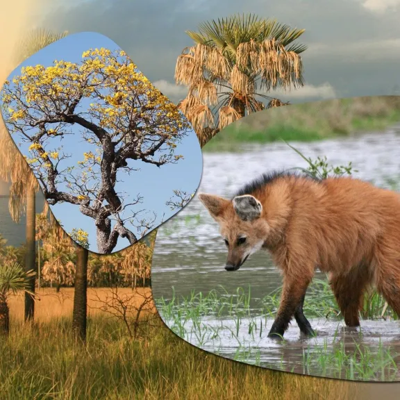 Estos son los 3 lugares de Formosa que debes conocer | GuauFormosa