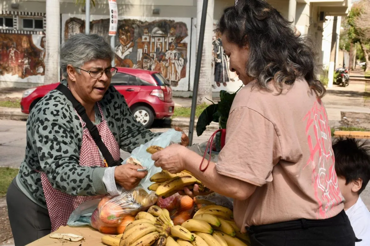 Este martes habrá venta de bolsones saludables en diversos puntos de la ...